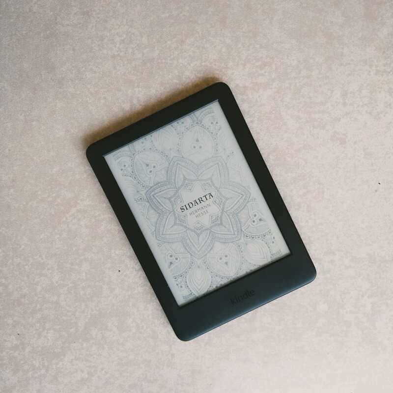 Resumo: Sidarta | Hermann Hesse - Resumo de Livro